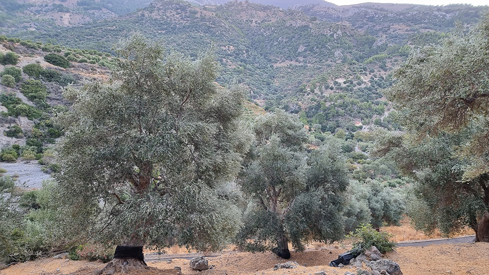 Urlaub auf Kreta im Winter