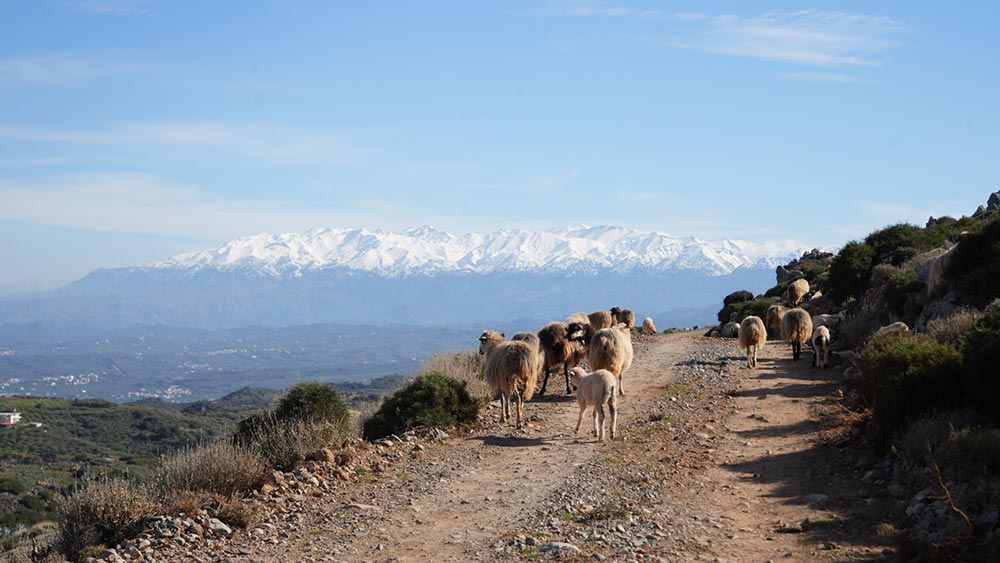 Urlaub auf Kreta im Winter