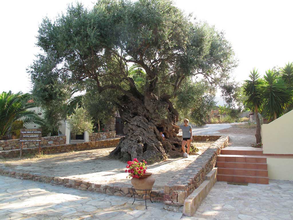 Vouves - West Crete. Hotels & Information